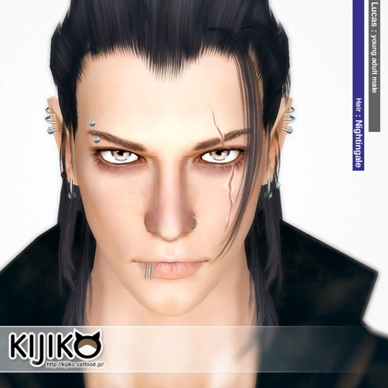 Sim Models for TS3 | Kijiko