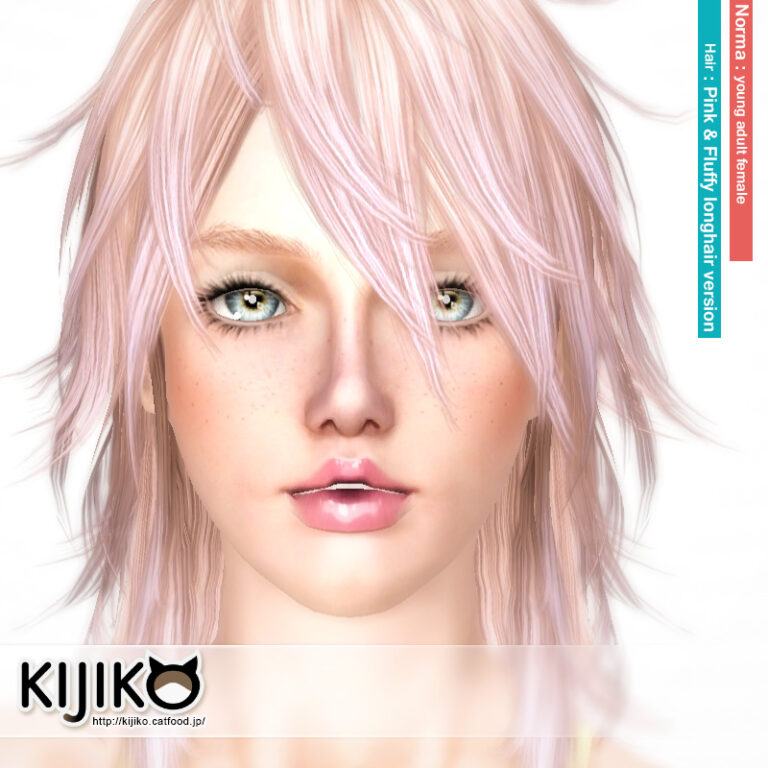 Sim Models for TS3 | Kijiko