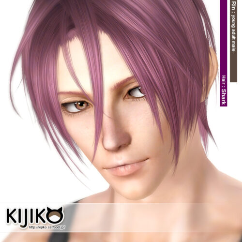 Sim Models for TS3 | Kijiko